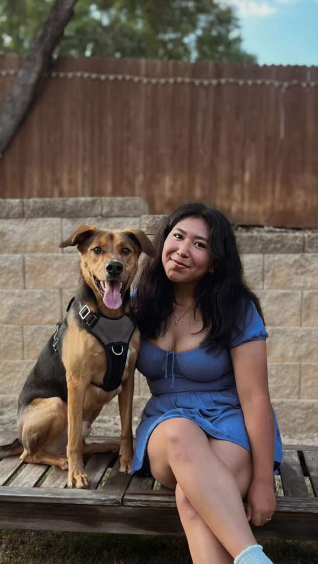 About Us - Arfordable Dog Training