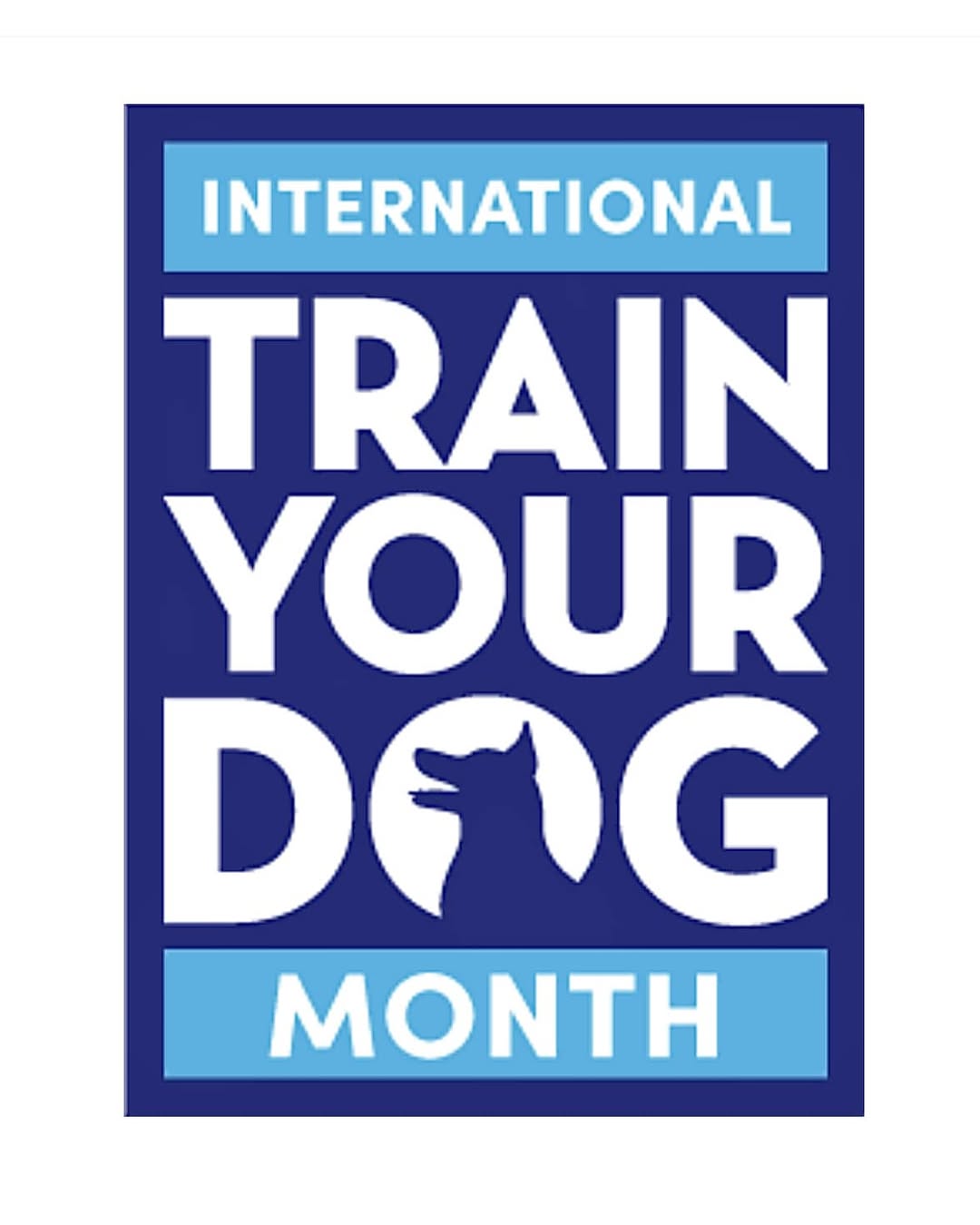 How to Set Realistic Dog Training Goals in 2025 Using Positive ...